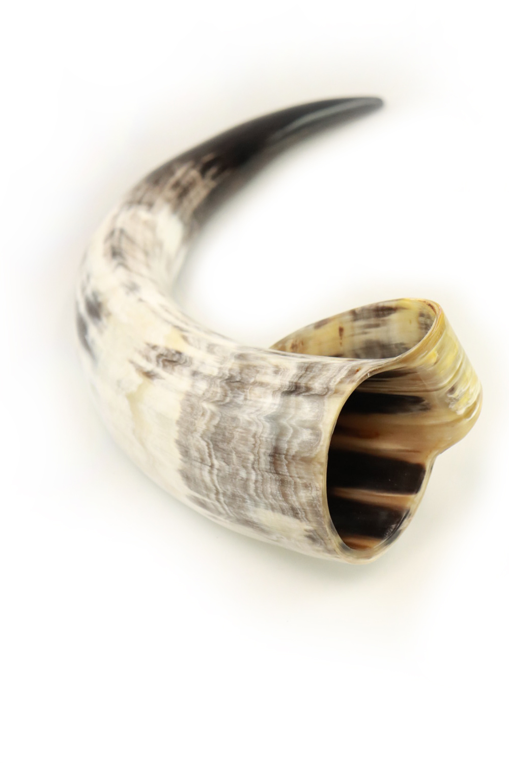 Viking Drinkhoorn Met Handvat - Cave & Garden